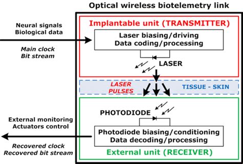 System Overview For Optical Uwb Wireless Implantable Biotelemetry Link Download Scientific