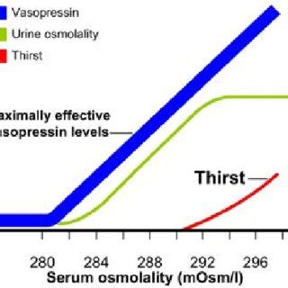 Response To Changes In Serum Osmolality Download Scientific Diagram