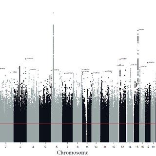 Genome Wide Signal Intensity Manhattan Plots Showing The Individual Download Scientific