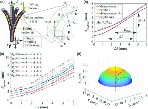 Properties Of The Soft Continuum Robot Under The Tendon‐driven