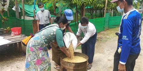 မျိုးစပါးများအား ဆားရည်စိမ်နည်း လက်တွေ့ သရုပ်ပြသ Information And