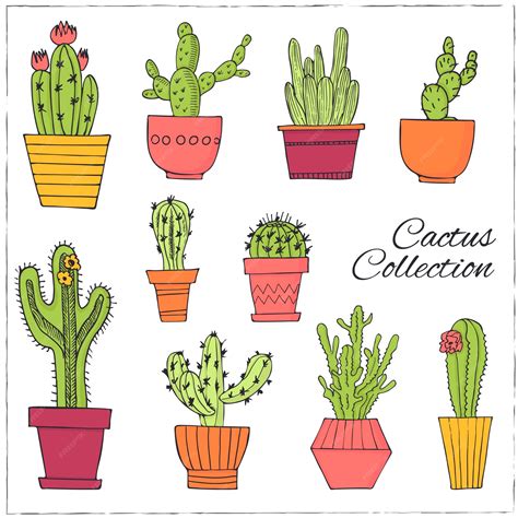 Dibujado A Mano Conjunto De Cactus En La Ilustración De Macetas