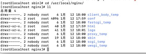 nginx 安装 阿里云开发者社区