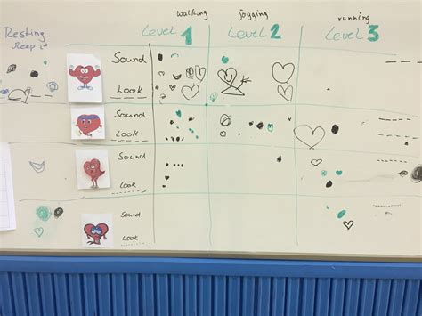 Pyp Pe Health Related Fitness Pyp P E Teacher