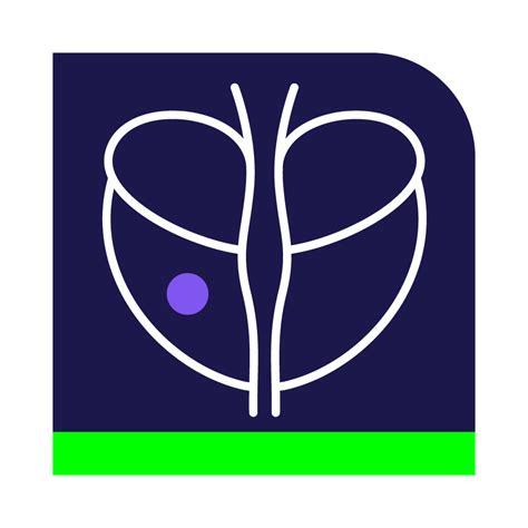 Acr Prostate Imaging Reporting And Data System Pi Rads®