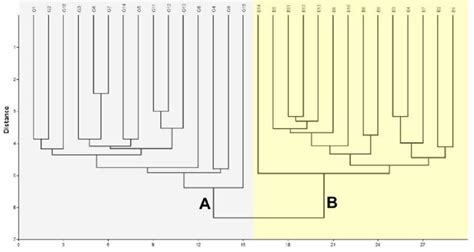 Dendrogram Upgma Based On Issr Markers Cophenetic Correlation Index