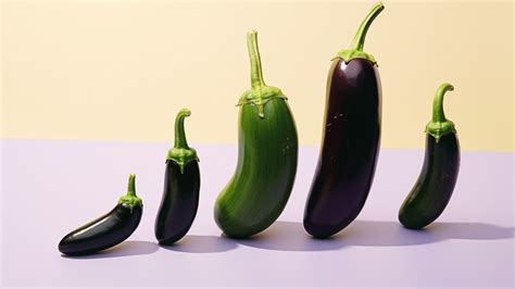 ¿el Tamaño Importa A La Hora Del Placer Esta Es La Medida Promedio Del Pene De Los Mexicanos