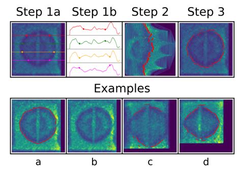 A Representation Of The Algorithm In Section Iii Horizontal Lineouts Download Scientific