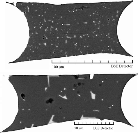The Microstructure Of The Fibres In A Cross Section Of Block V0566 N Download Scientific