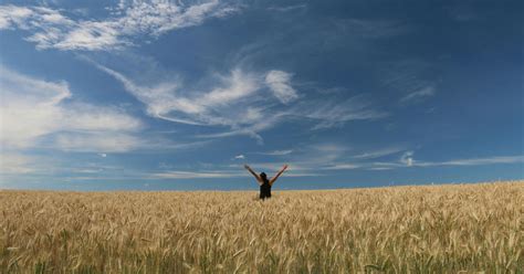 Elysian Fields The Confusing Middle