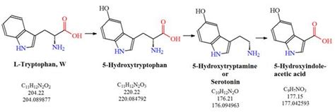 Tryptophan Pathway Analysis