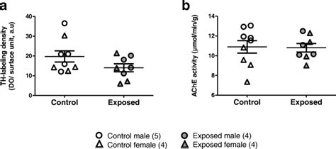 Quantification Of Dopaminergic And Cholinergic Inputs Into Gd28 Download Scientific Diagram