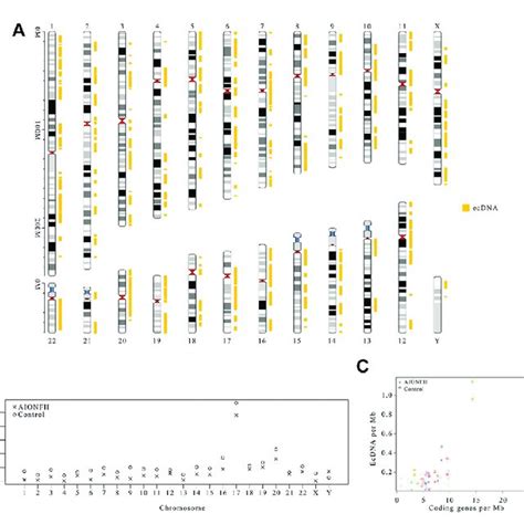 Genomic Distribution Features Of Eccdnas Between Aionfh And Control