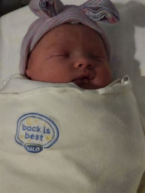 Willow Leeann Holmquist The Star Post