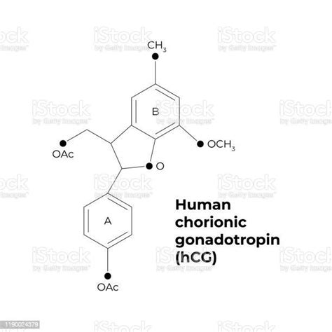 벡터 호르몬 최소화 배너 템플릿입니다 Hcg 구조 는 흰색 배경에 고립 된 검은 색 임신 테스트와 관련된 호르몬 과학 교육 프리젠 테이션을위한 디자인 인체생장호르몬에 대한