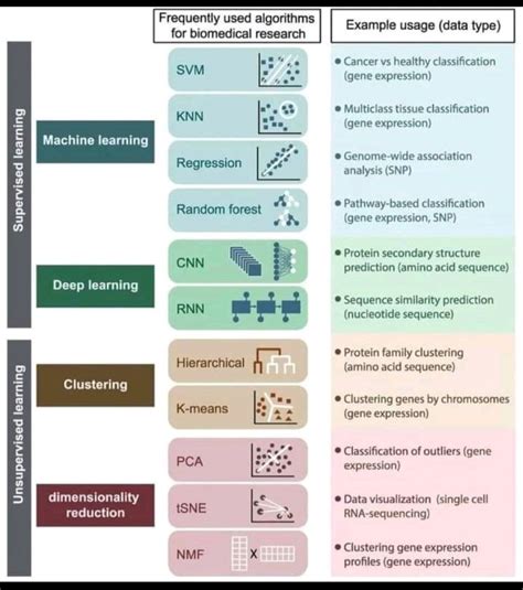 Machine Learning Algorithm Muhammad Ahmad Tayyab
