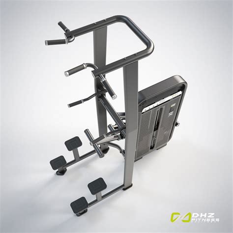 Dual Standing Assisted Dip Pull Up Machine Pin Loaded Professional Pro Dhz