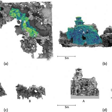The Point Cloud Model And The Mesh Model Of Srmr With The Sample Areas
