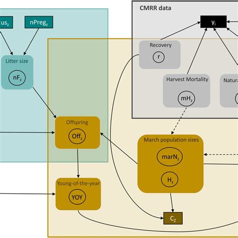 Directed Acyclic Graph Dag Of The Ipm Squares Represent Data Nodes