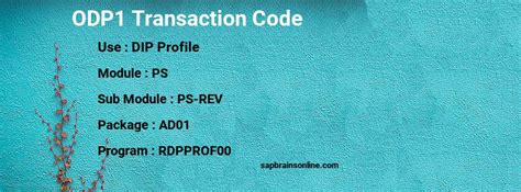 ODP1 SAP Tcode For DIP Profile