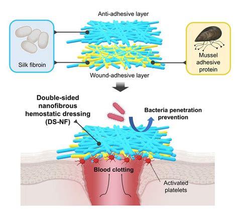 Figure 1 Image Eurekalert Science News Releases