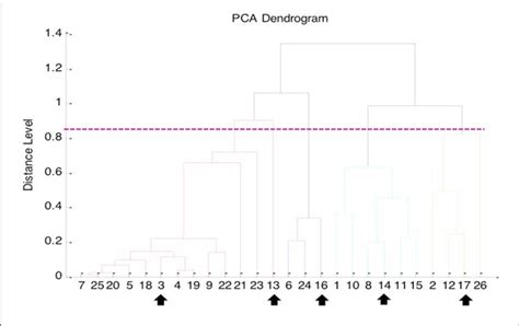 Principal Component Analysis Pca Dendrogram Generated From Bruker