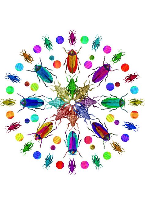 Bug Circle Circle Bugs