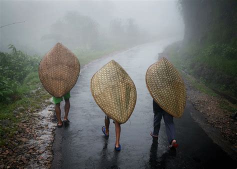 Wettest Place On Earth Today The Earth Images Revimage Org