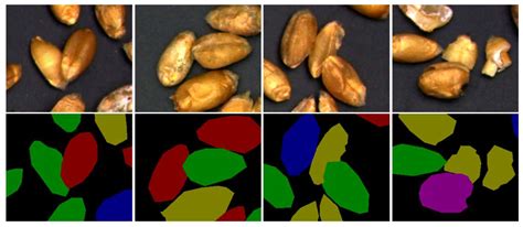 Segmentation Of Unsound Wheat Kernels Based On Improved Mask Rcnn