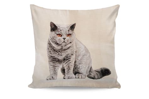 Сива котка Габриела елеганс