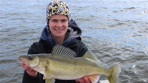 Fox River Depere Walleyes Youtube