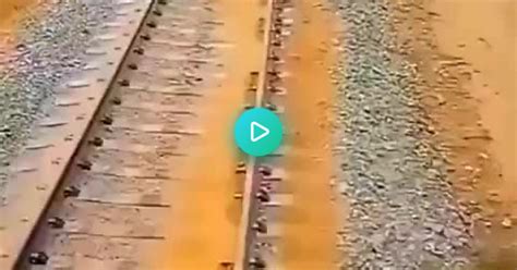 Camels Album On Imgur