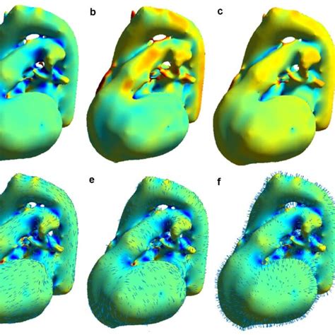 The Color Coded Gaussian A Maximum B And Mean C Curvatures With Download Scientific