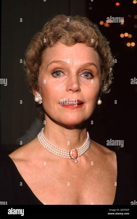 Lee Remick Actress Banque De Photographies Et Dimages à Haute