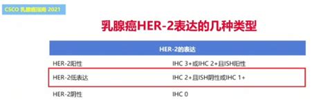 殷咏梅教授： Her2 阳性乳腺癌 Csco 指南更新要点解读 2021 Csco 指南大会 丁香园