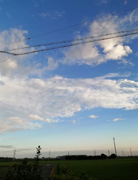 今朝の空 ラビットのブログ