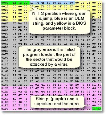 Partition Sector Computer Knowledge