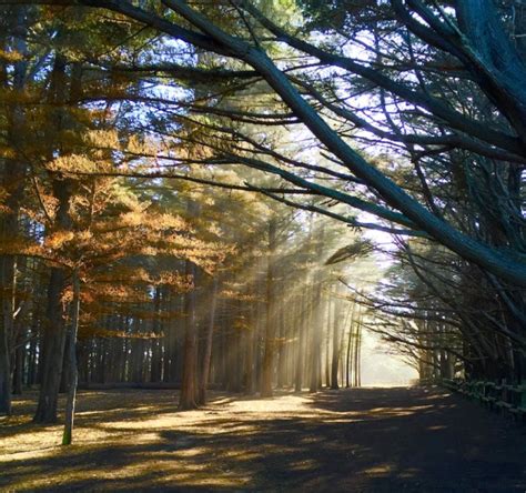 Fix Typeerror ‘abcmeta Object Is Not Subscriptable Be On The