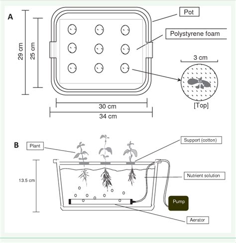 Figure 1 From Nodulation Nitrogen Fixation And Growth Of Rhizobia
