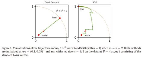 Optimization Sgd Bruno Neri