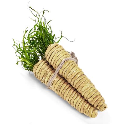 Hoppy Easter Parsnip Decoration 3 Pack Natural Home Bargains
