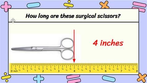 Chapter 14 Medical Math Measuring Length Height And Weight Slides