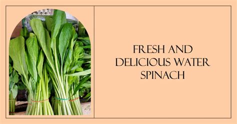 Water Spinach Benefits Psyspeaks