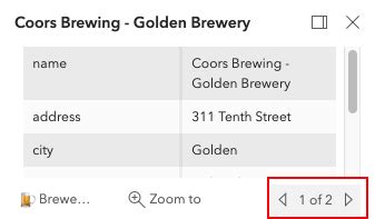 Popup ArcGIS API For JavaScript 4 14
