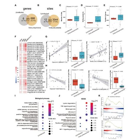 Rna Editing Profiles Of Ssrna Viral Pneumonia A Venn Plot Comparing Download Scientific