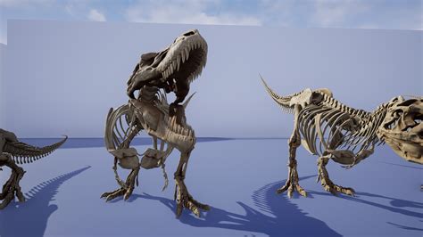 Trex Sue Skeleton Unreal Engine Unity Projects 3d Model Turbosquid 2202266