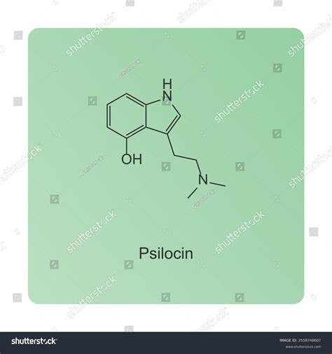 Psilocin Skeletal Structure Diagrampsychedelic Compound Molecule Stock