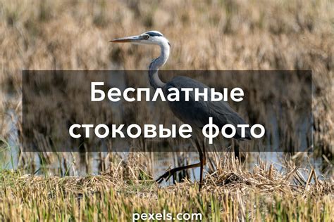 Лучшие фото по запросу «바탕화면 아이론 무질서 · Скачивайте совершенно бесплатно · Стоковые фото Pexels