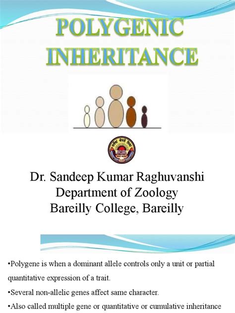 Polygenic Inheritance Pdf Heredity Quantitative Trait Locus