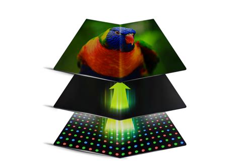 Foldable OLED OLED ERA